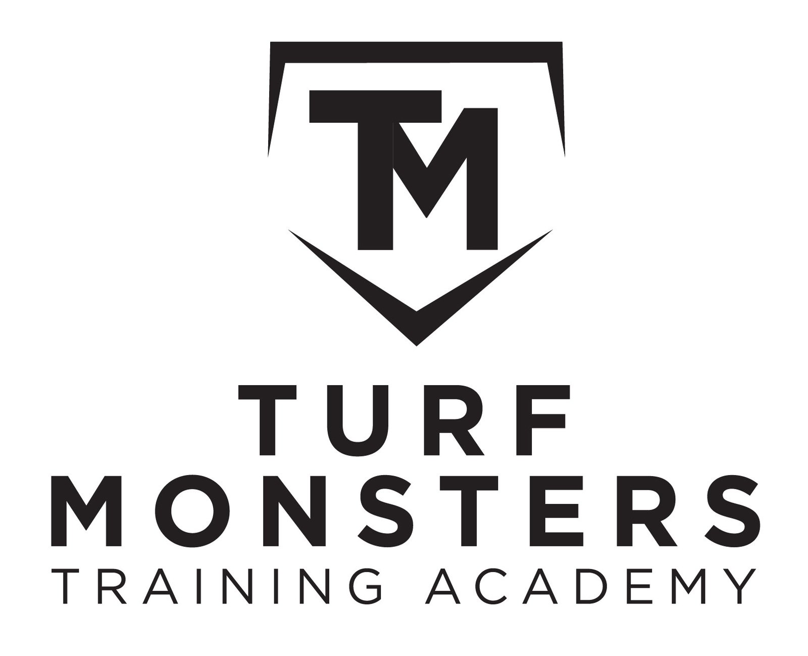 Home - turfmonstersta.com
